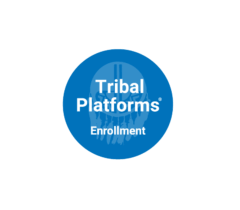 Tribal Software, Tribal Business Applications - Arctic IT